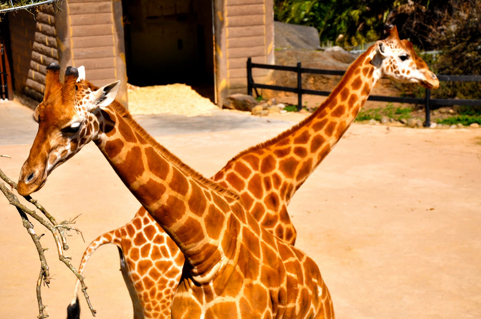 Sam Barker Photography: August 2010