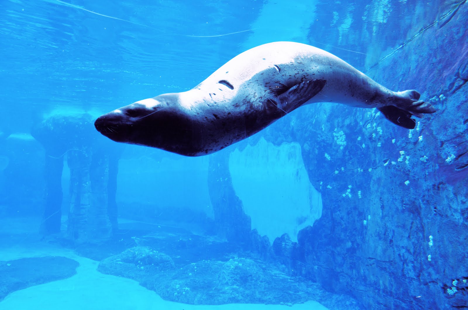 Sam Barker Photography: August 2010