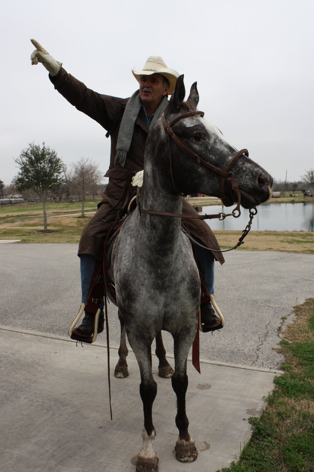 BriteCloud Creations: Like a rhinestone cowboy....