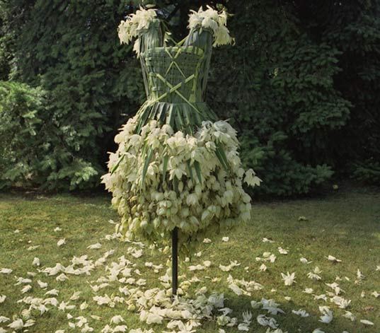 Baju dari daun.. | Story Dari Shelly