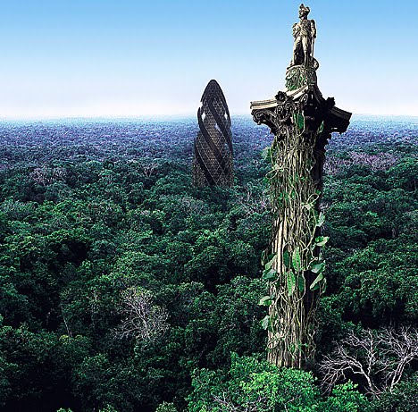 Book Review—The World Without Us