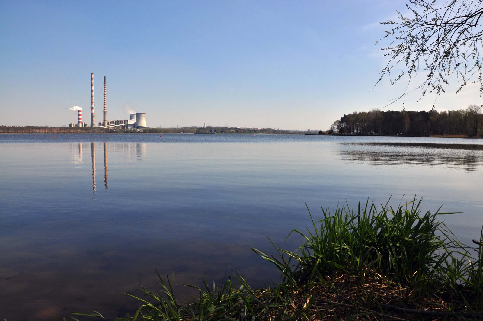 meszin-powsinoga-park-krajobrazowy-cysterskie-kompozycje