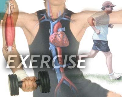 Health N Fitness Tips|health and fitness tips|healthy tips|fitness tips ...