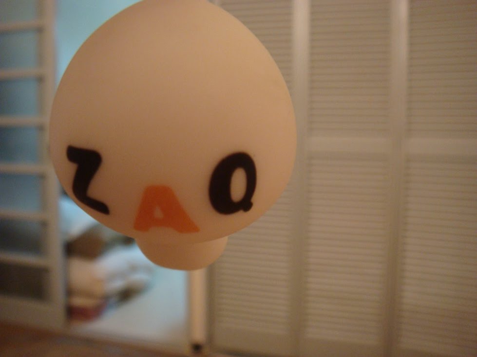 Miki's Page: ZAQが家にやってきた！！ ザック？？！
