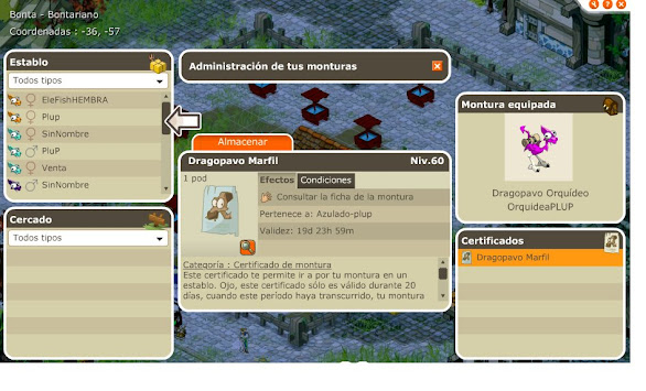 Cria de Dragopavos | Gremio Alea iacta est: Guías DOFUS descubre el ...