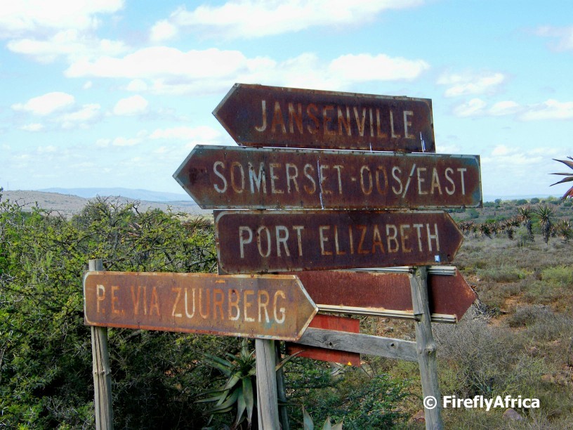 Port Elizabeth Daily Photo: Rusty road signs
