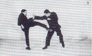 BRUCE LEE THE LEGEND: Lee's HOOK kick