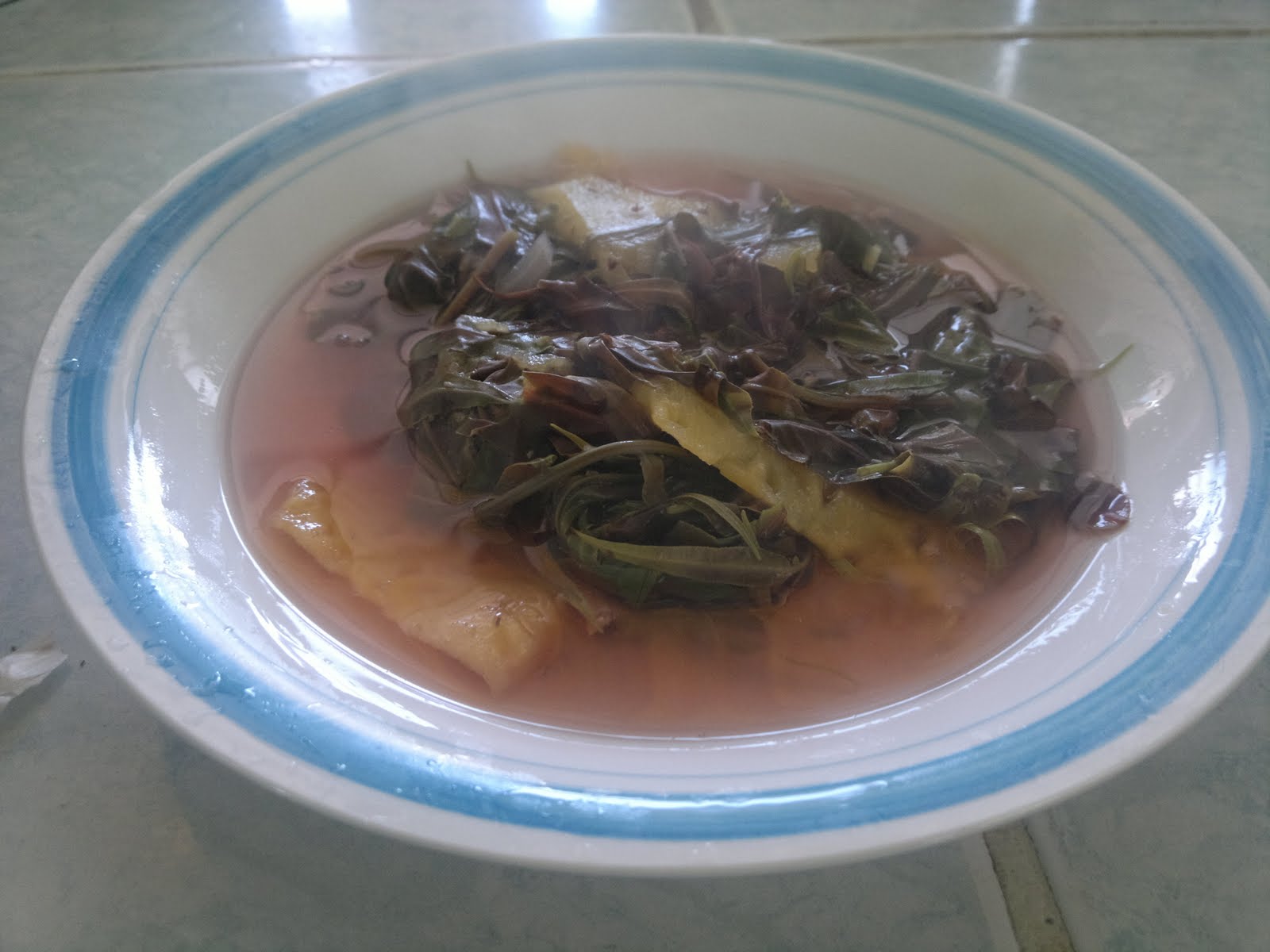 DENAI BERBISIK: pucuk paku merah dan nenas