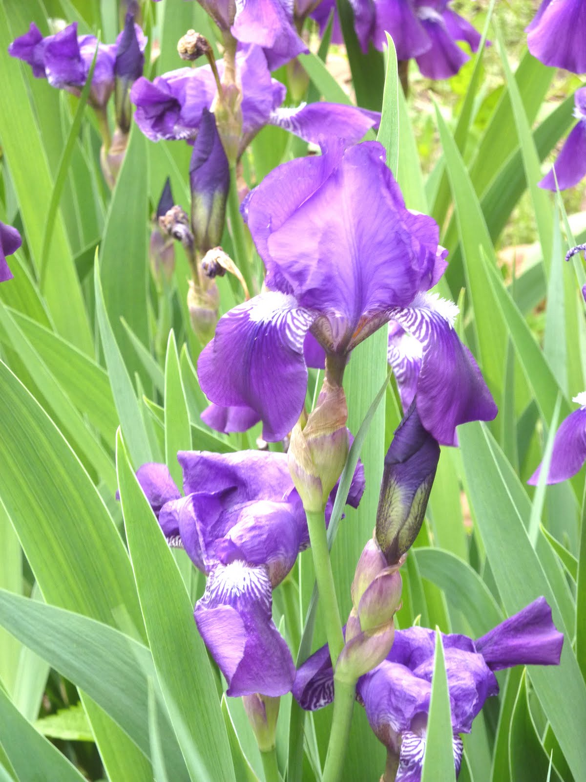 CEOriginal Art and Craft Studio Organizing and Storage Solutions ...