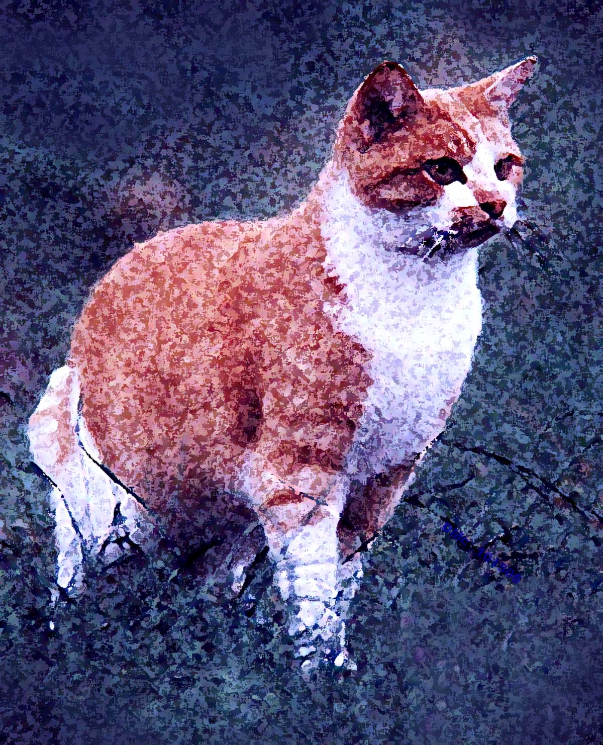 Winkie's Kitty Cat Blog: "Some Of The Cute and Crazy Kitty Cats of "The ...