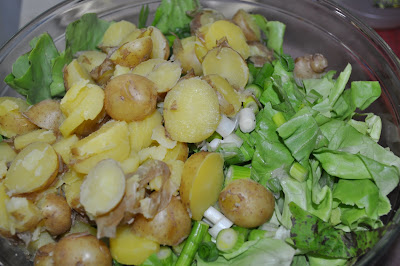 Michigan Cottage Cook: HOT DUTCH POTATO SALAD--WARME DUTCH AARDAPPEL ...