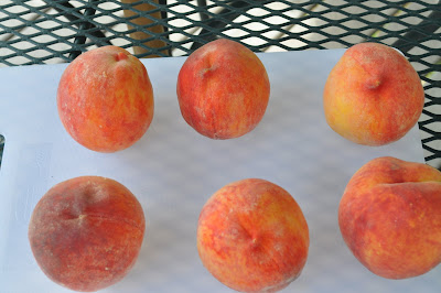 Michigan Cottage Cook: PEACH BUYING TIPS AND RIPENING HINTS