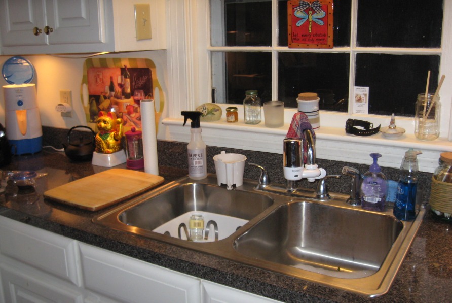Carrie S. Forbes - Gingerlemongirl.com: Clean Counters = Healthy Habits