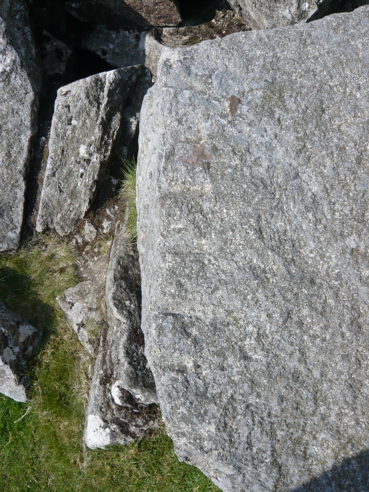 part-time Naturalist: Dartmoor Study Tour: Hay Tor and Hay Tor Quarry