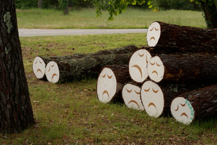 LUCKY LEFT HAND: 20 Poor Little Trees