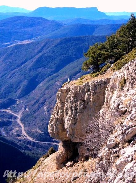 A pelo y pluma-- Flyfishing blog: Pirene