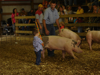 Pig Farmers Wife (and her two kids): Showing Pigs