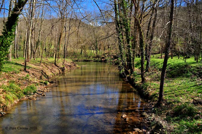 Pere Crosas Canalias SPOTTER: Riu Fluvià.(Olot)