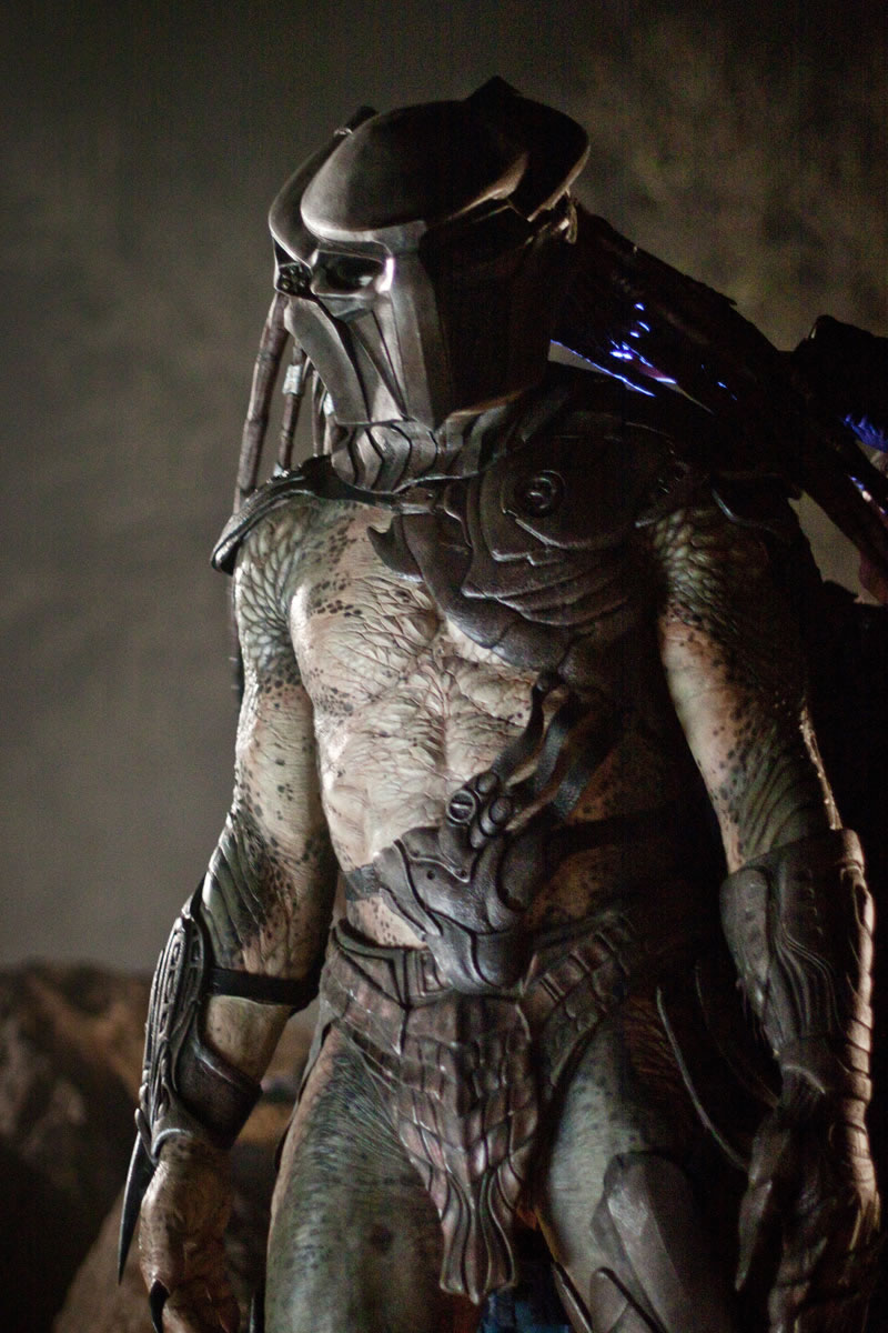 Alien vs. Predador Blogger: Falconer Predator