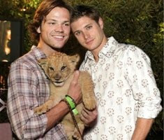 A Place For Pet Lovers: Supernatural Star Jared Padalecki's Rescue Dogs