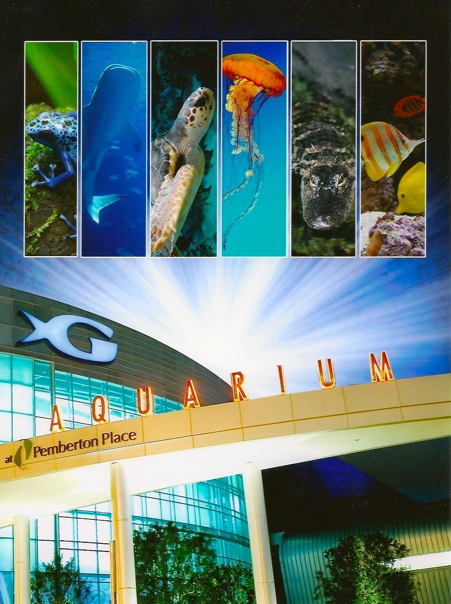 Georgia Aquarium Map