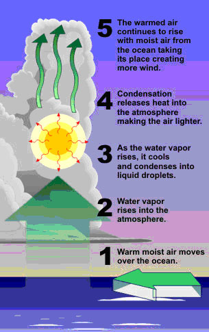 Global Science: Typhoon Research.