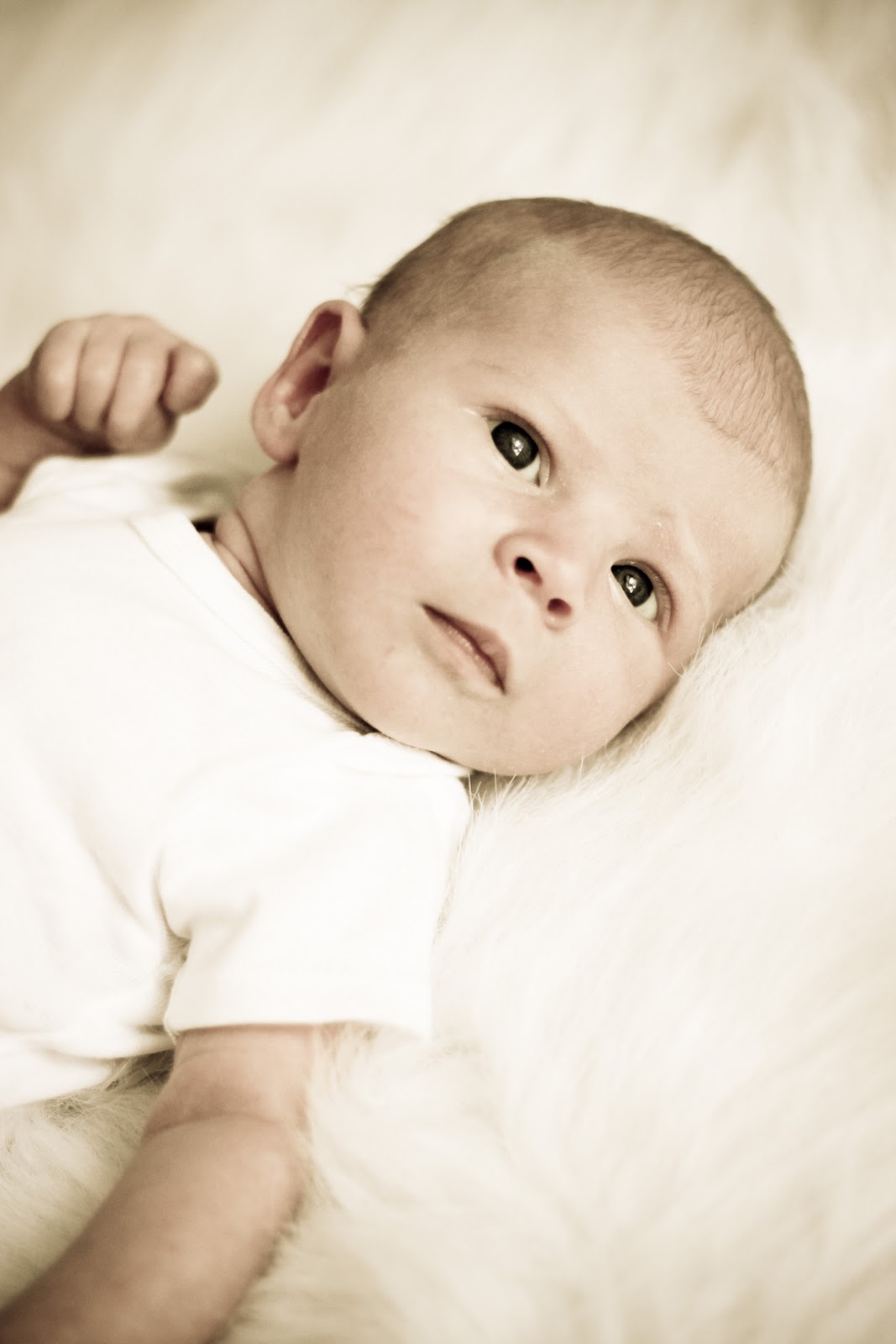 A. Leigh Photography: Infant Gallery
