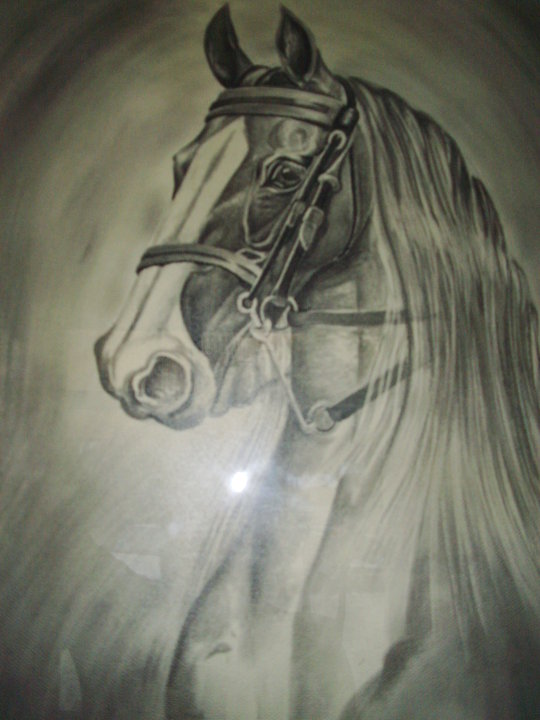 Shadow Ink by Tony Rizkallah, Tattoo & Airbrush & everything you want ...