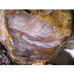 A Woodsrunner's Diary: Flint occurs naturally in Australia.