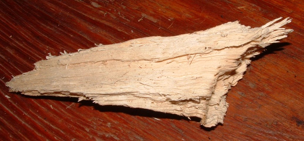 A Woodsrunner's Diary: December 2010