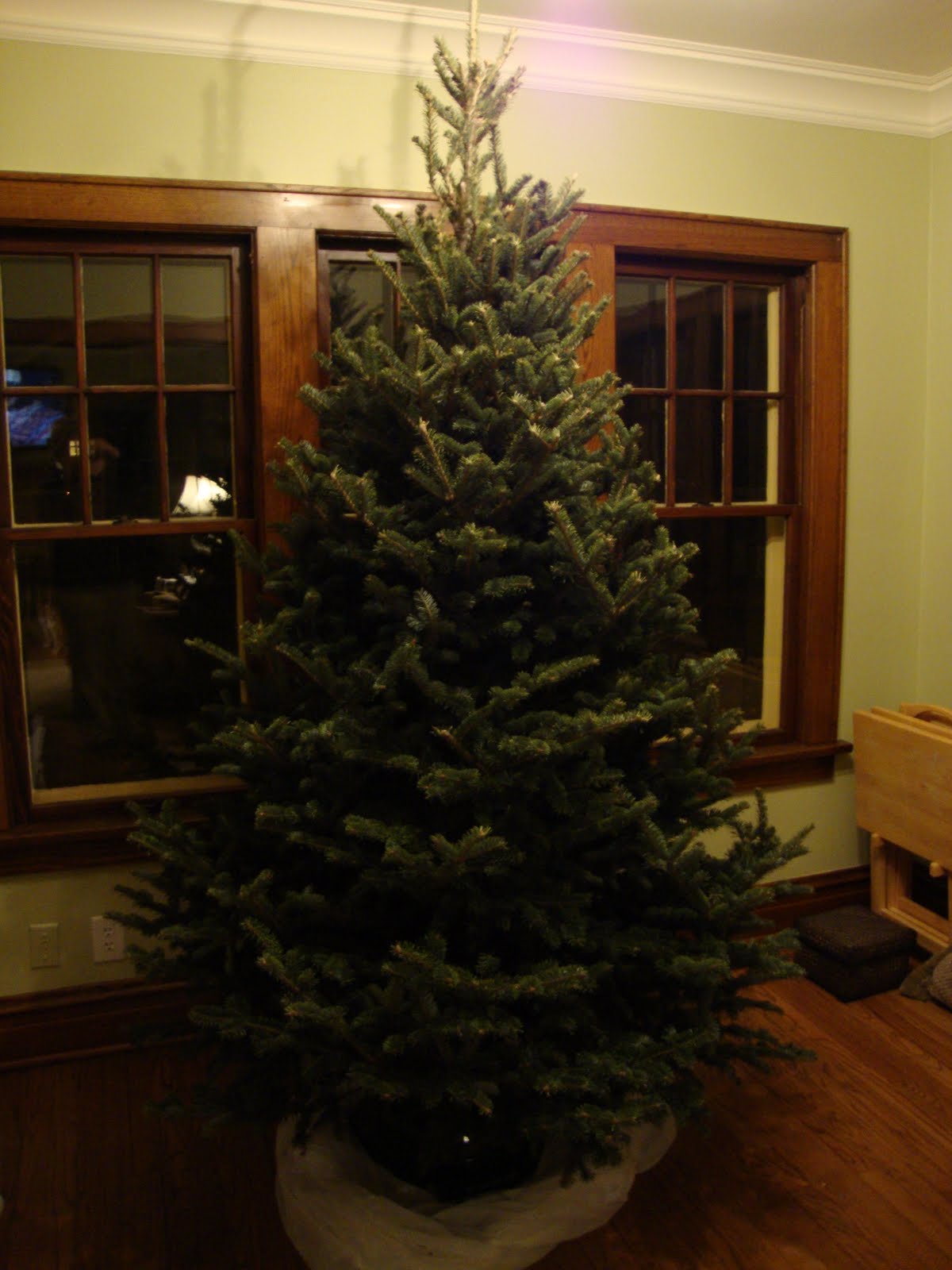 J&K Homestead: O Christmas Tree (part 1)