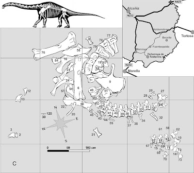 Ornithodira Blog: Tastavinsaurus, nový rod somfospondylního sauropoda ...