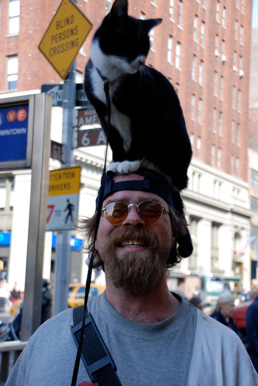 This is why I ♥ you, New York.: Man with a cat on a hat