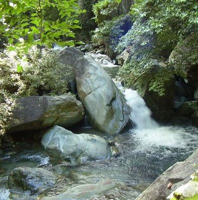 Iligtas ang Calawagan River Resort at Mt. Calavite! - I Love Paluan