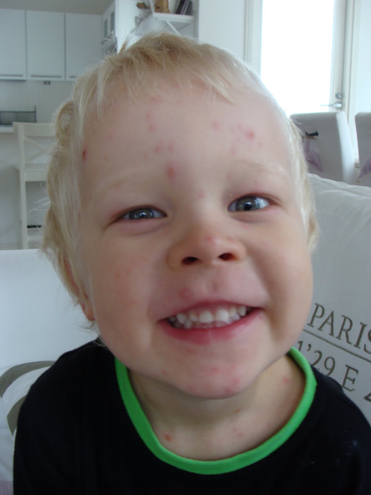 Villa Elina: Vesirokko