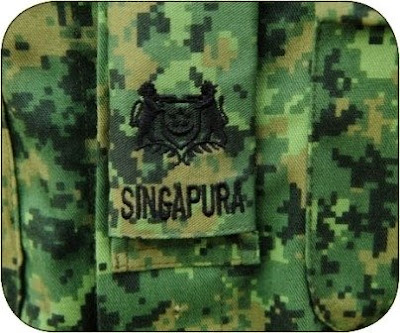 Q's Mind: New SAF Uniforms: 2