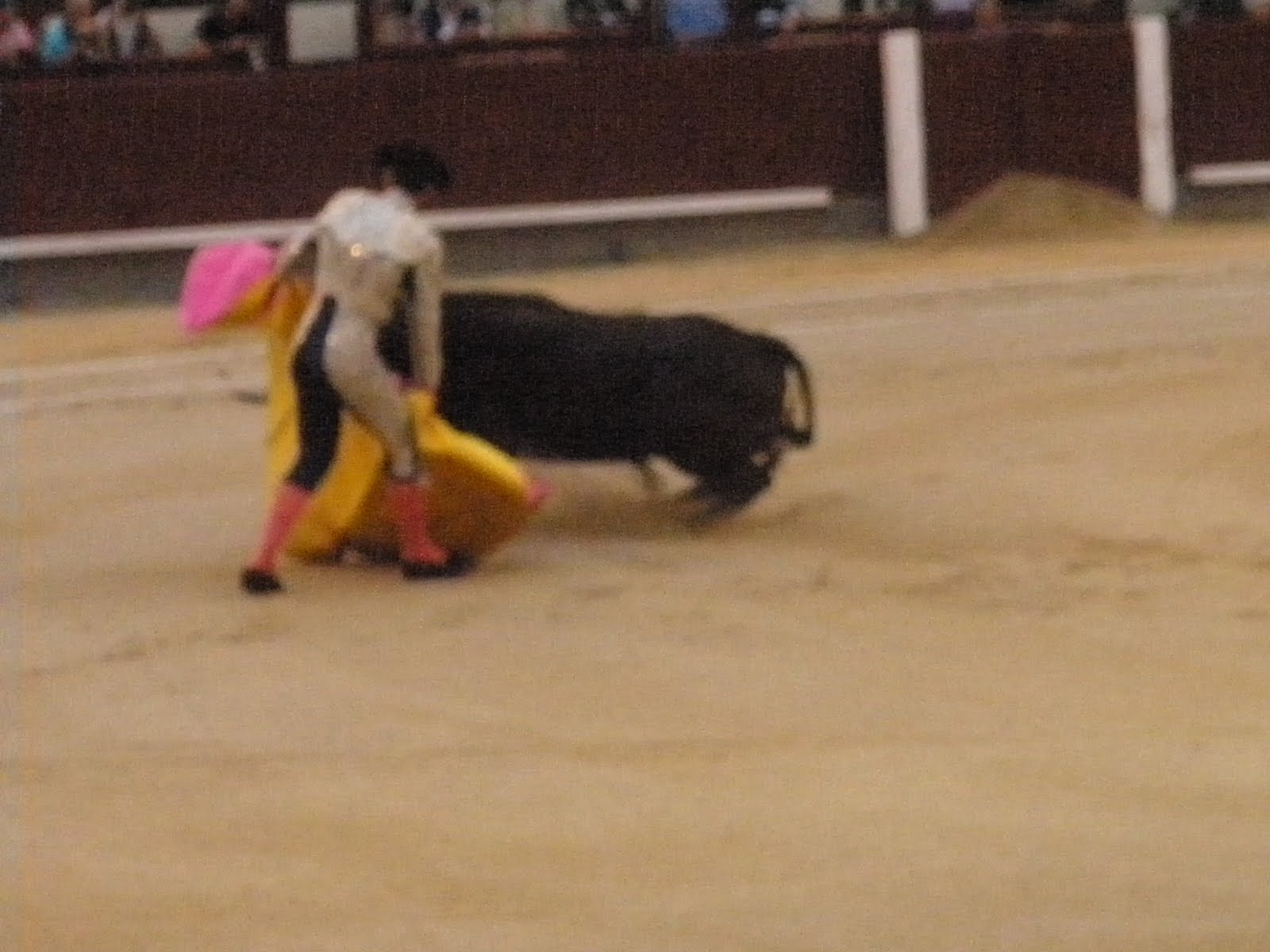 Where in the World is Jessica?: torro torro torro