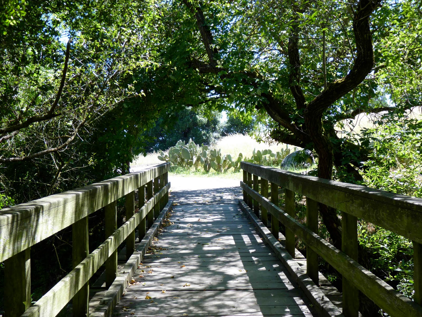 Walking San Francisco Bay: Petaluma Adobe State Park - June 5, 2010