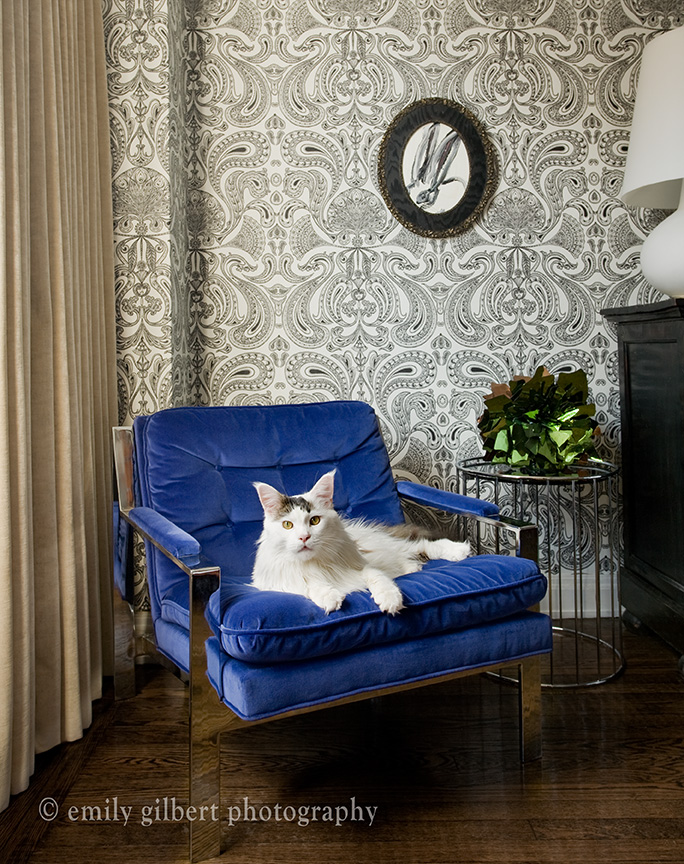 Decortizo: Emily Gilbert Behind The Lens...