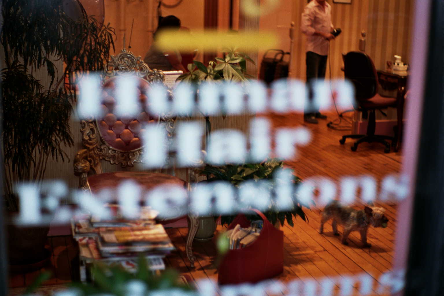 IN RESIDENCE @ APEXART WITH ROY SAMAHA