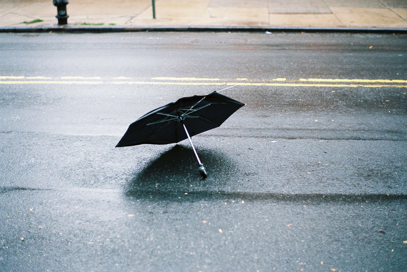 IN RESIDENCE @ APEXART WITH ROY SAMAHA