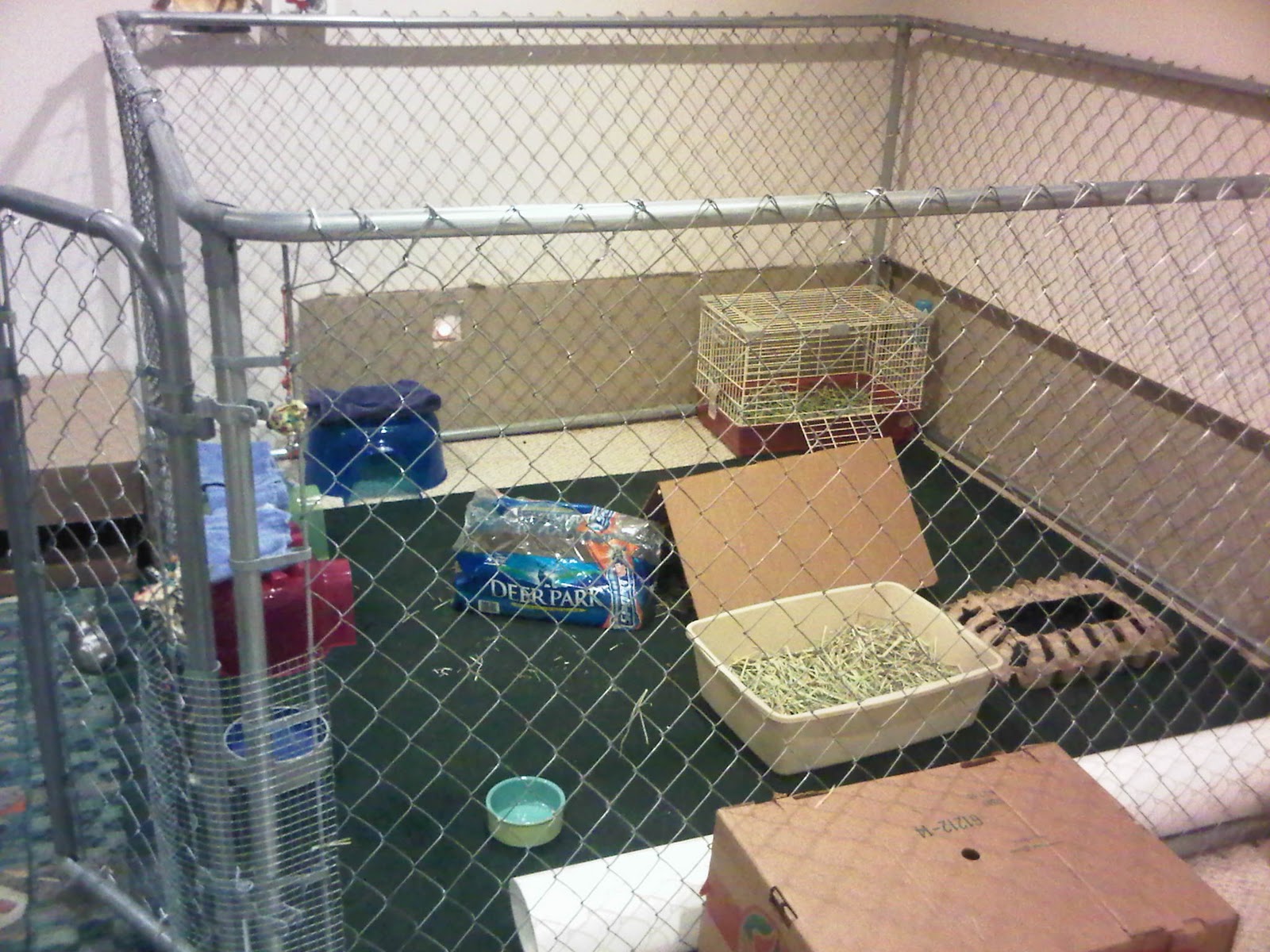 Rabbit Ramblings: Rabbit Habitat - Why I am explaining where they live