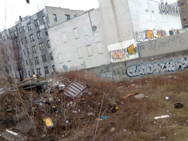 Straight Out Da Jungle: NYC Ghetto's, Bronx to Brooklyn, The Forgotten ...