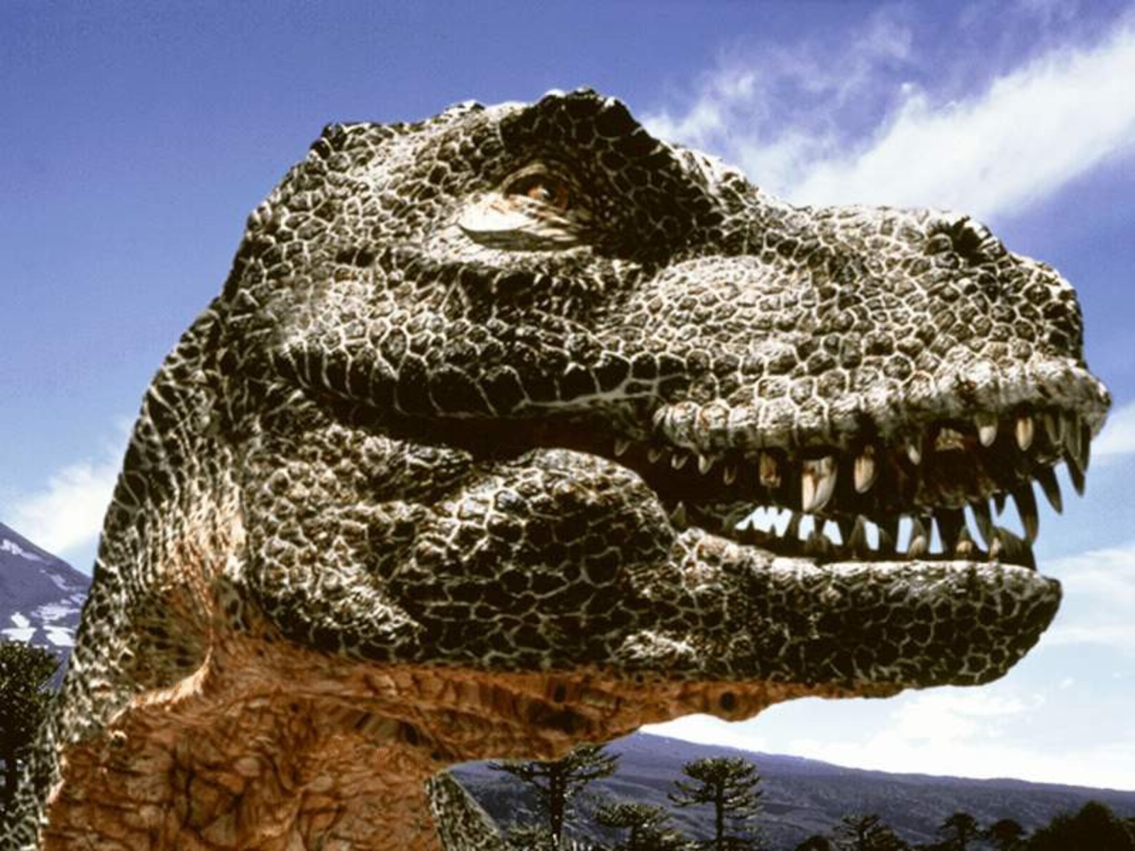 High Definition Photo And Wallpapers: high definition dinosaur ...