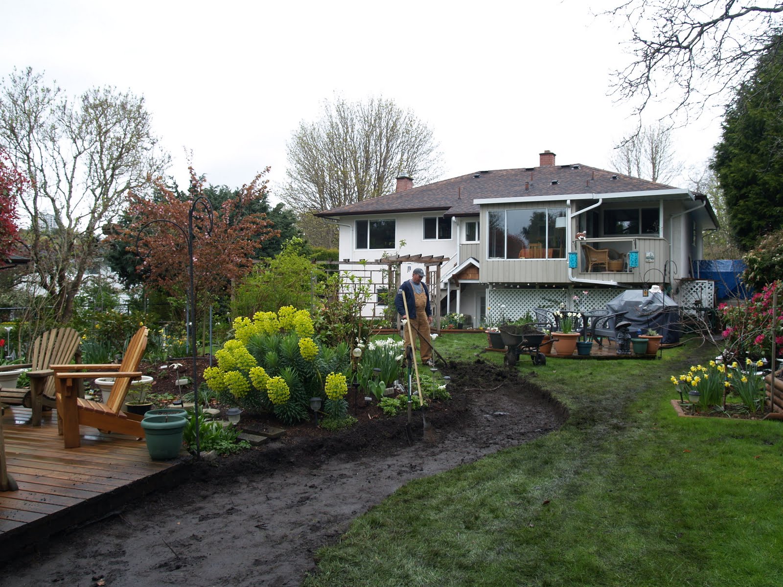 The Evolution of Our Garden