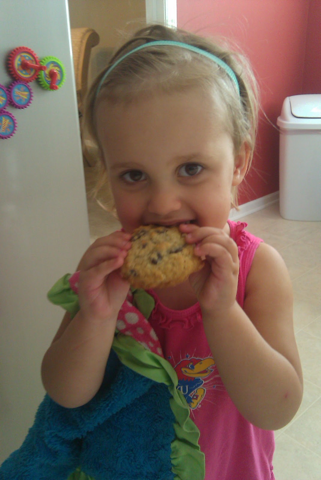 Three Mango Cakes: Shatto Butter Oatmeal Raisin Chippers