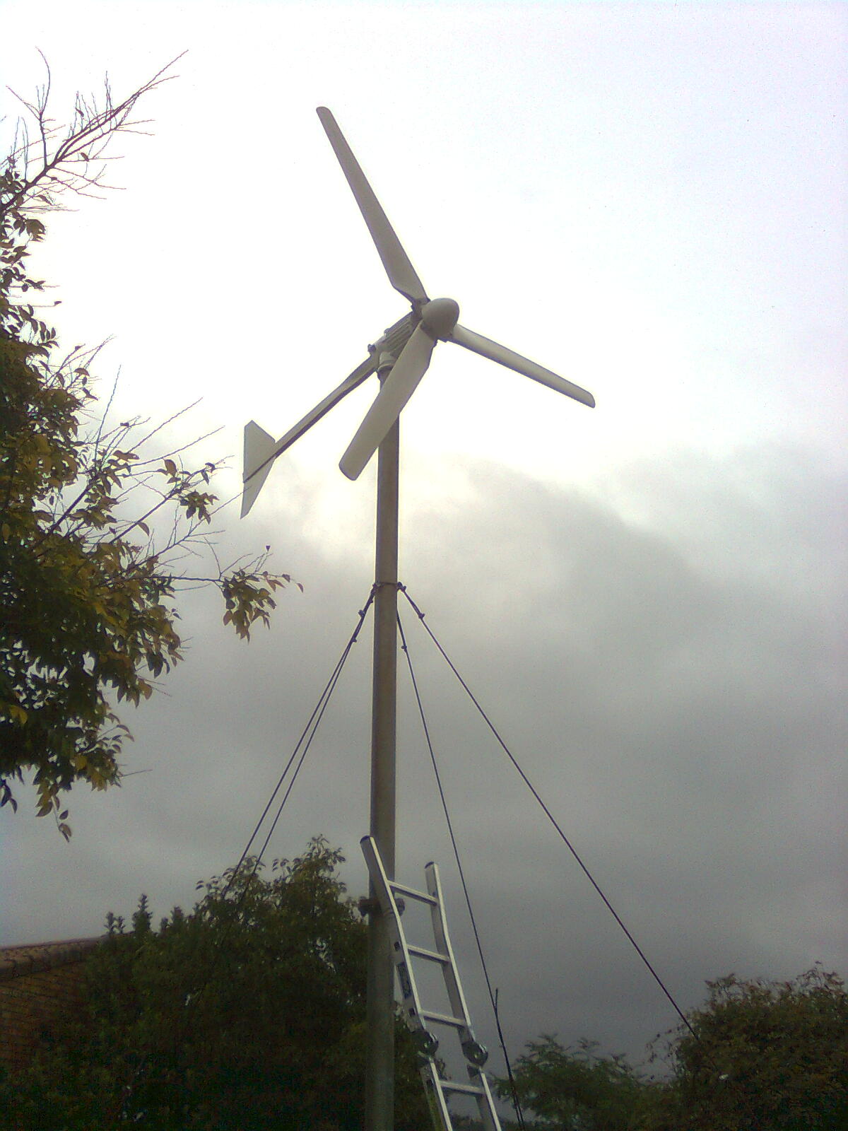 Anton Janovsky: 1KW Wind turbine in Bassonia Johannesburg