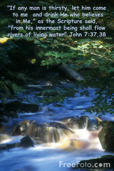 Share My Journey: Meditation on John 7: 37-38