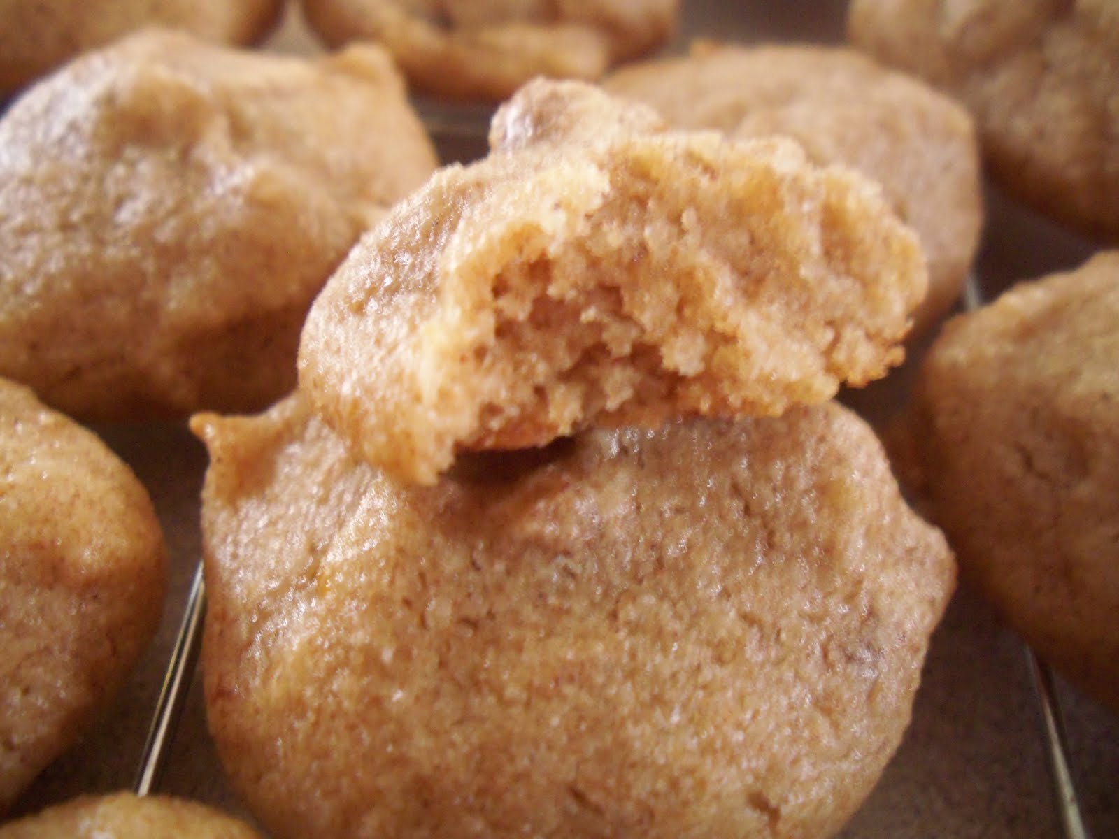 The Essential Herbal Blog: Persimmon Sandies - Gluten Free