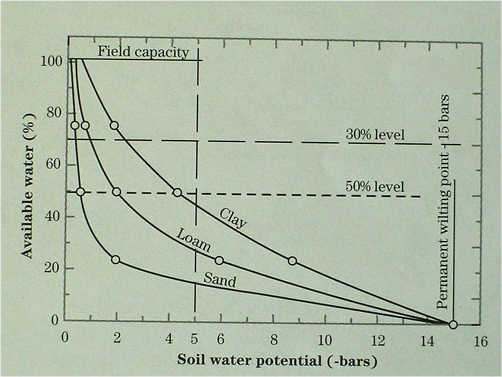 The Dirt on Soil: November 2010